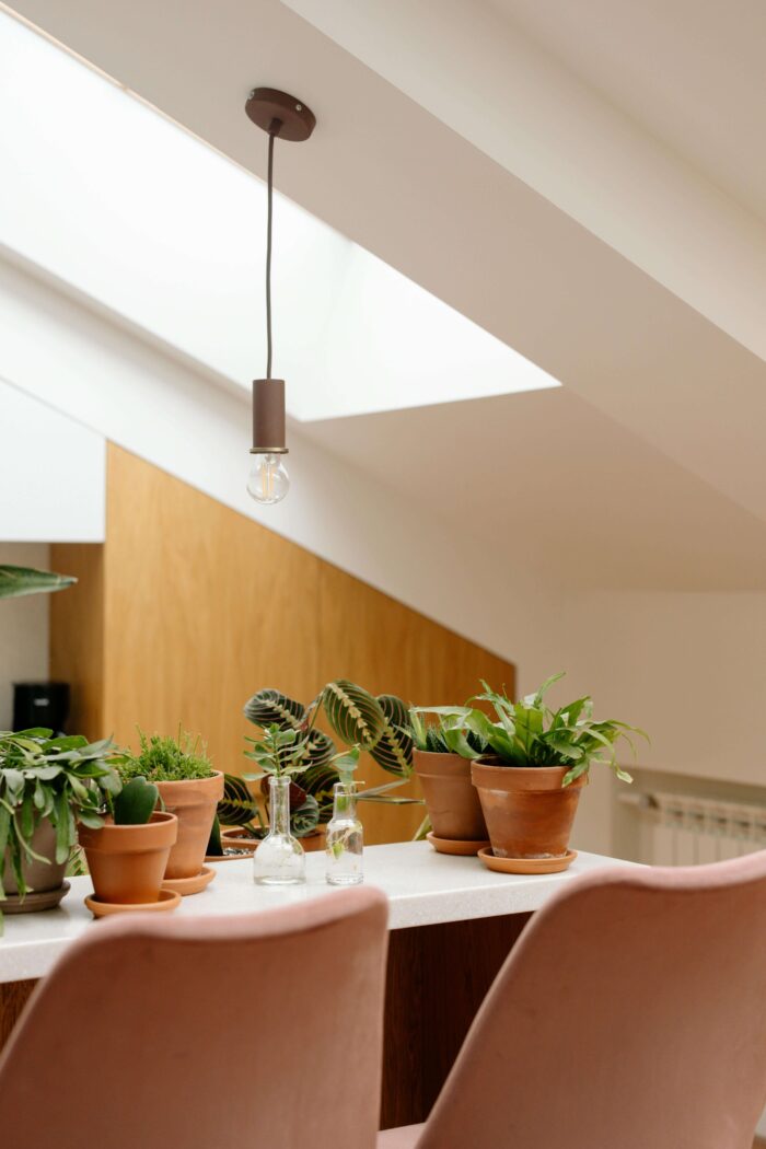 Rooflight Loft Conversion Guide | Elevate Your Space