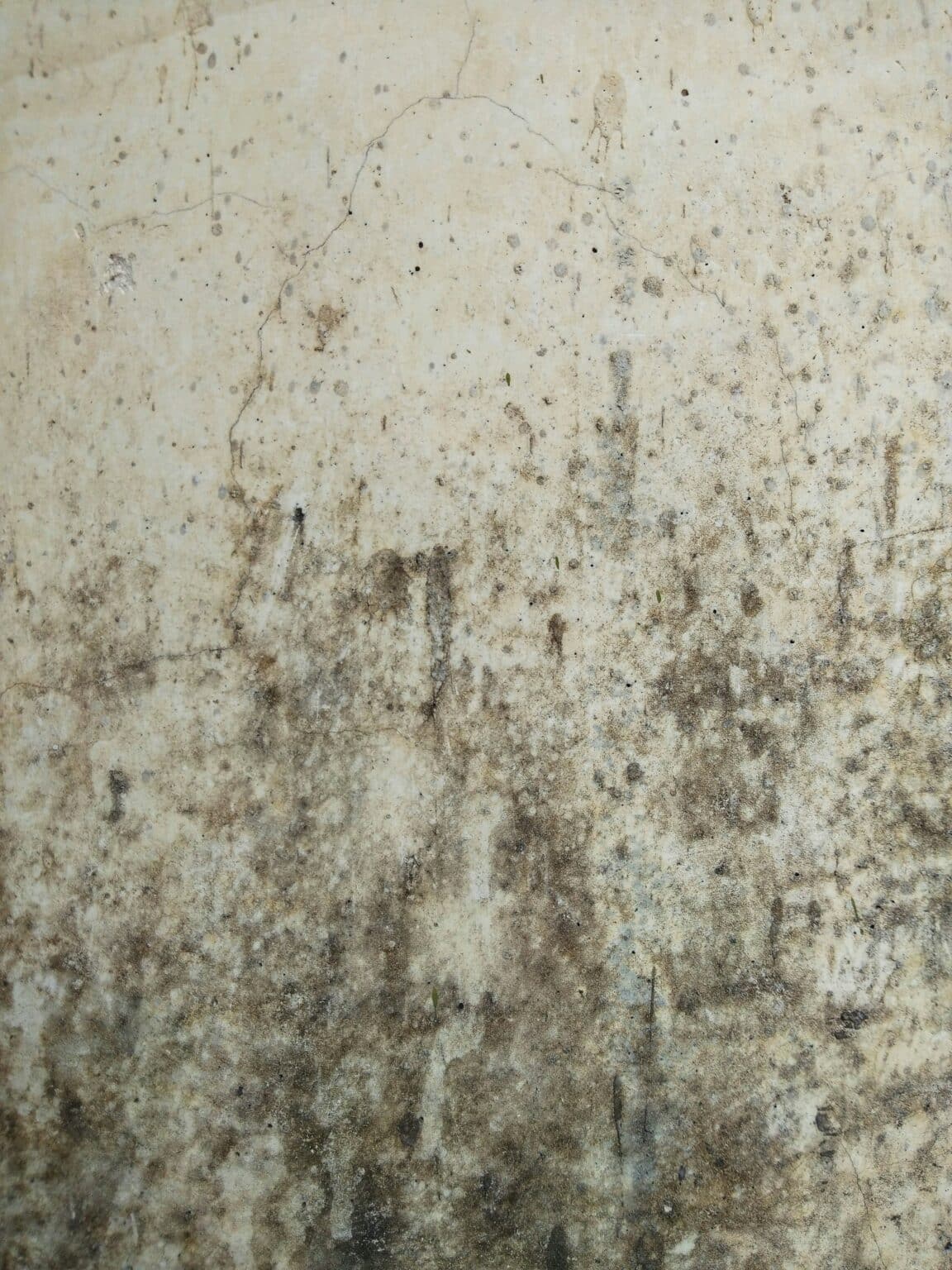 How To Treat Mould In Your Loft | Expert Guide